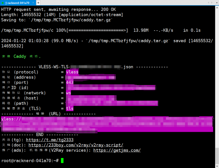 2024 RackNerd VPS搭建V2Ray代理 VLESS /VMESS+WebSocket+TLS WARP优选IP解锁Netflix流 – 普罗丢瑟